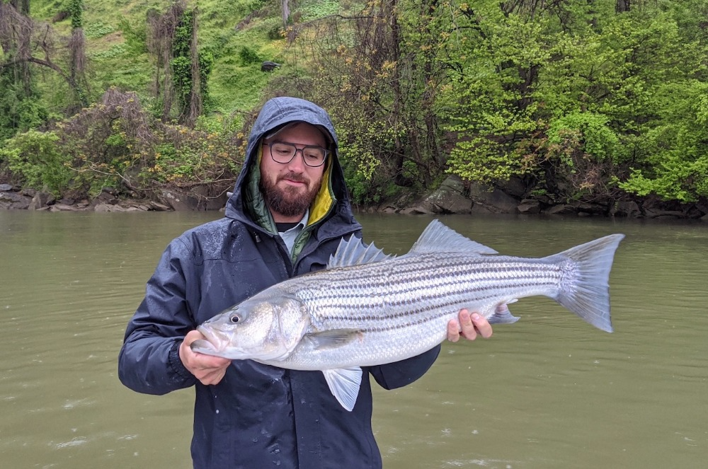 Drifting for Striped Bass at Fletcher's Cove with Alex Binsted