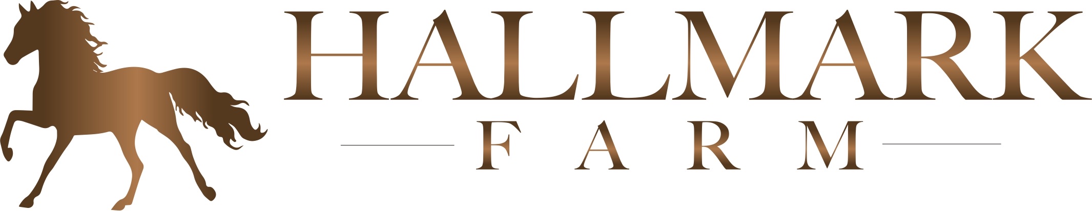 10 pack of Hallmark Farm XC hire