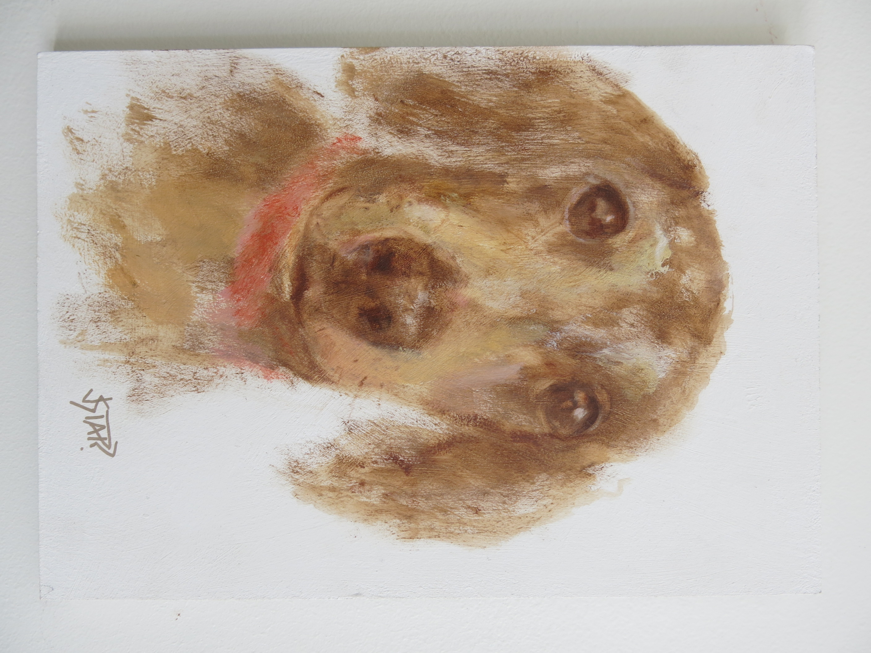 Jeanette Starr, Sally