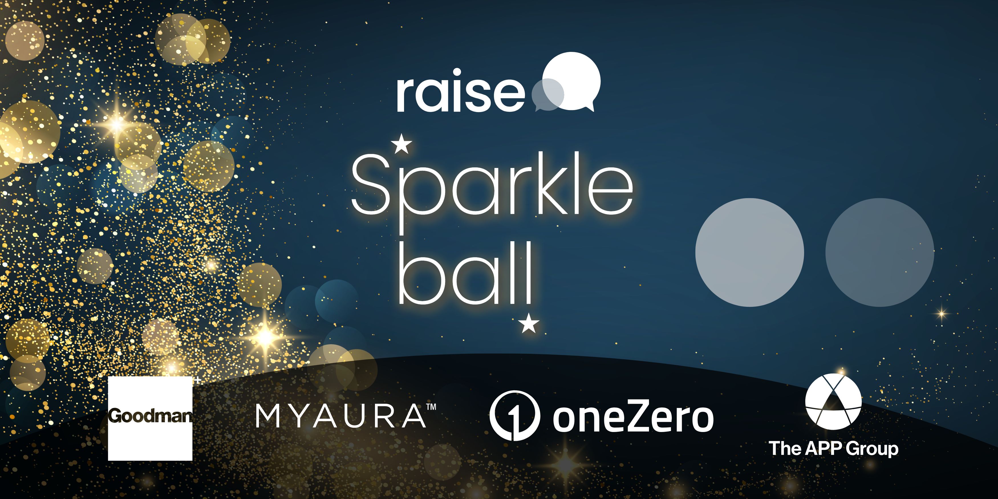 Raise Foundation Sparkle Ball 2023 Banner