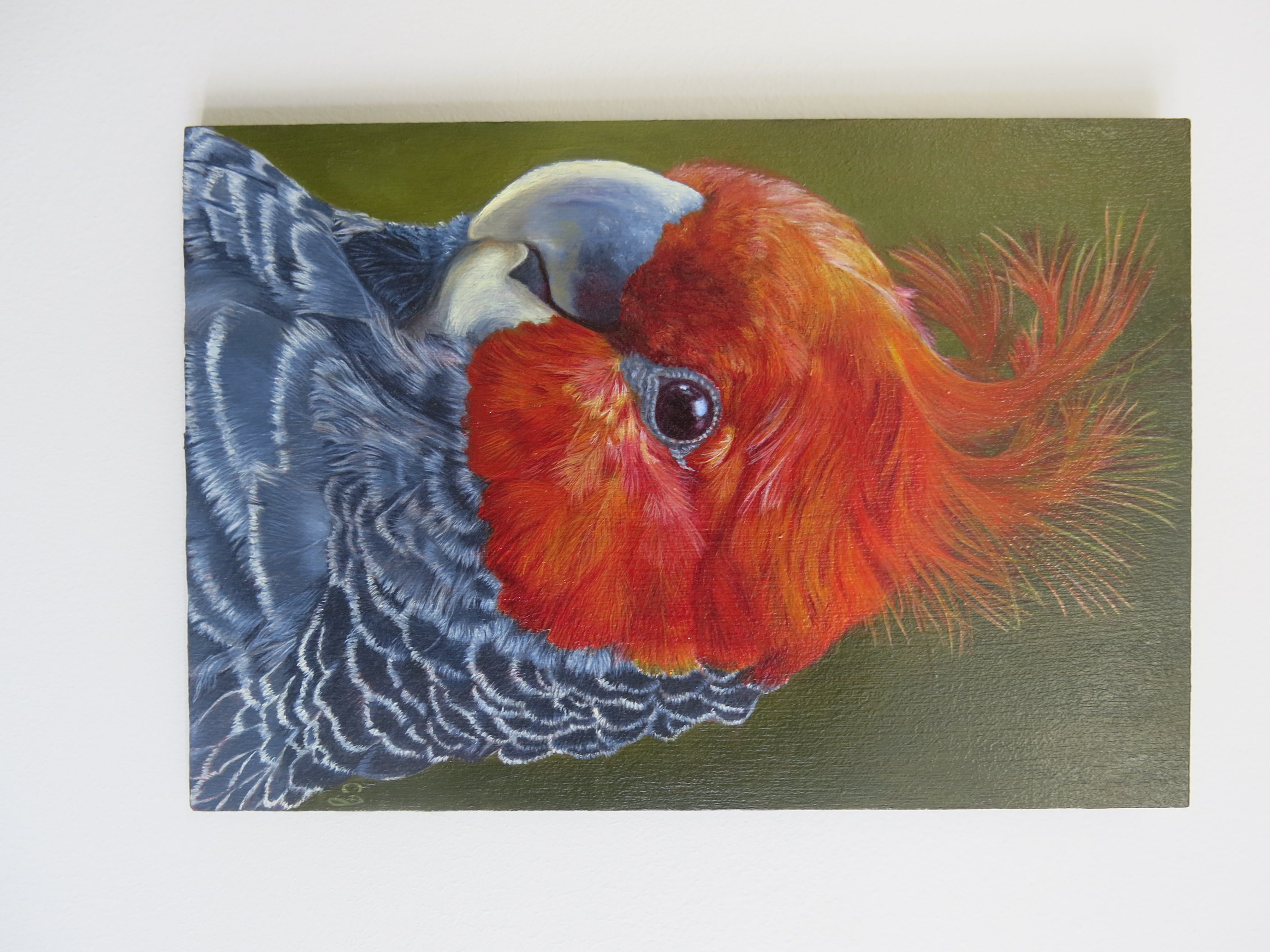 Colette Jonquieres, Lady Gaga