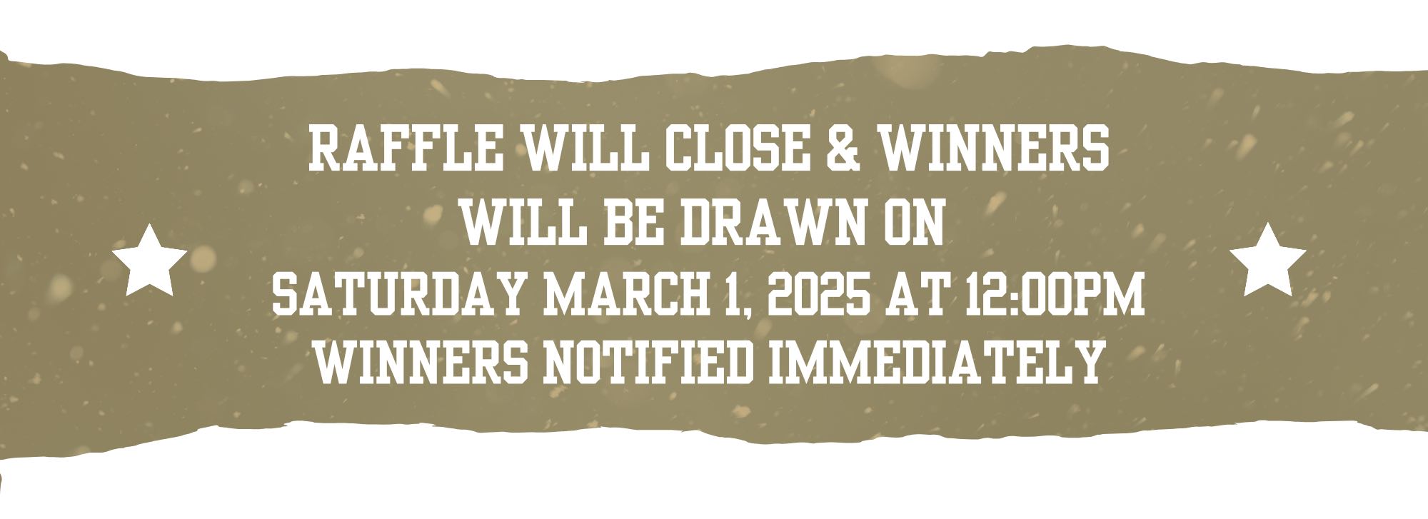 Vegas Girls Hockey Raffle Banner