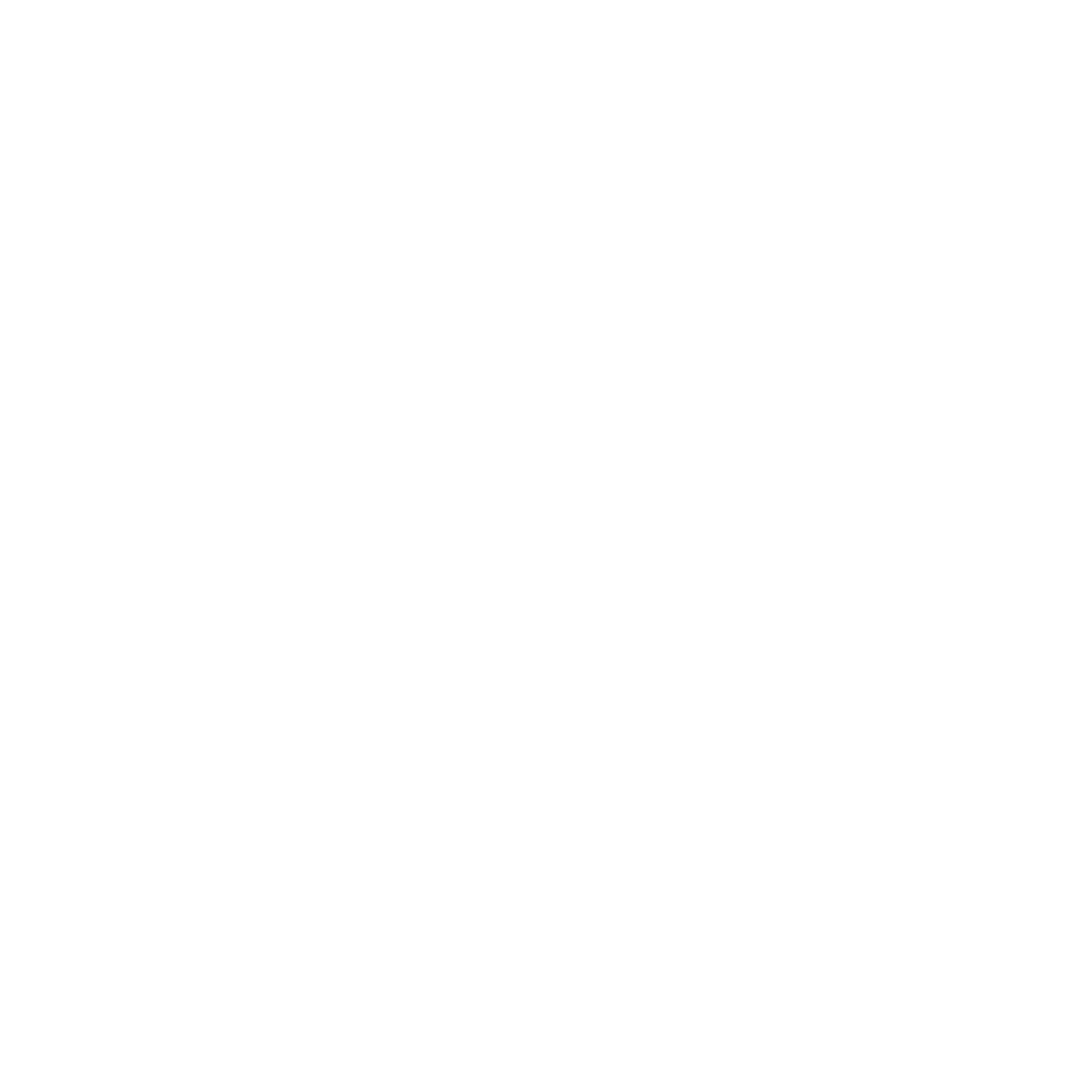 2025 Moanalua Elementary School Fun Fair Logo