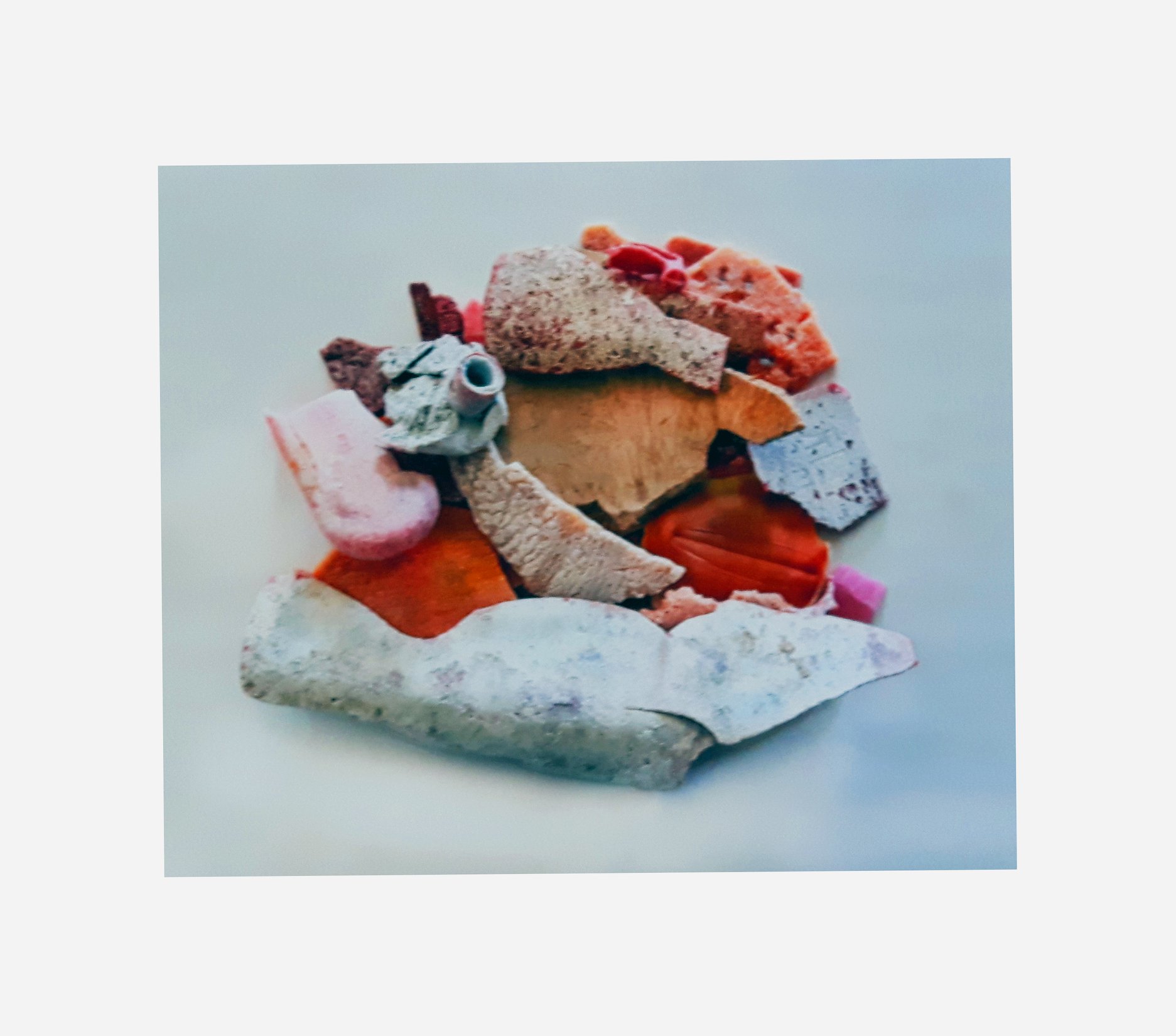 "Vestigial Organs" - Cindy Stelmackowich