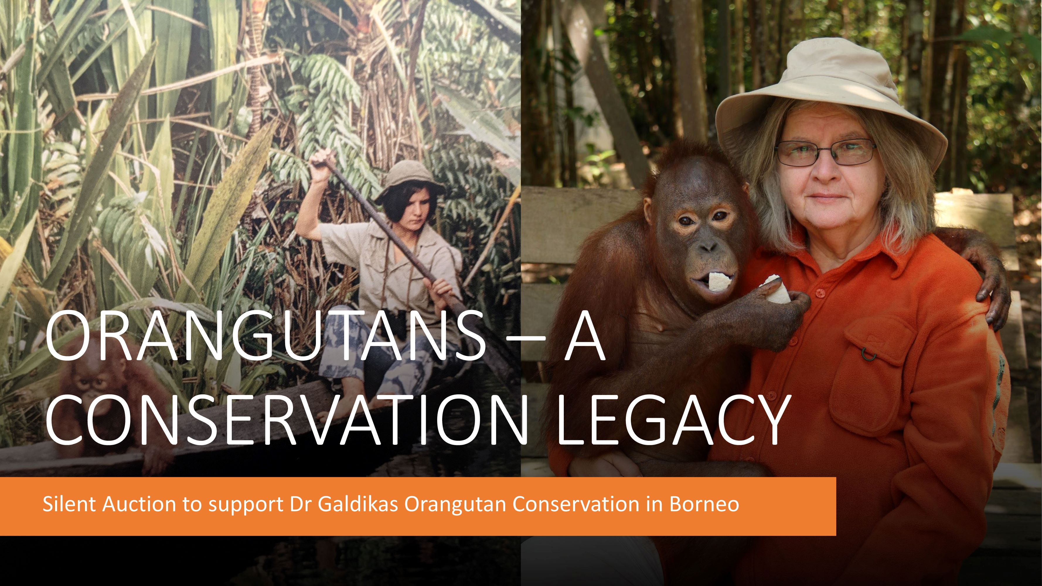 Dr Galdikas Orangutan Conservation Tour Banner